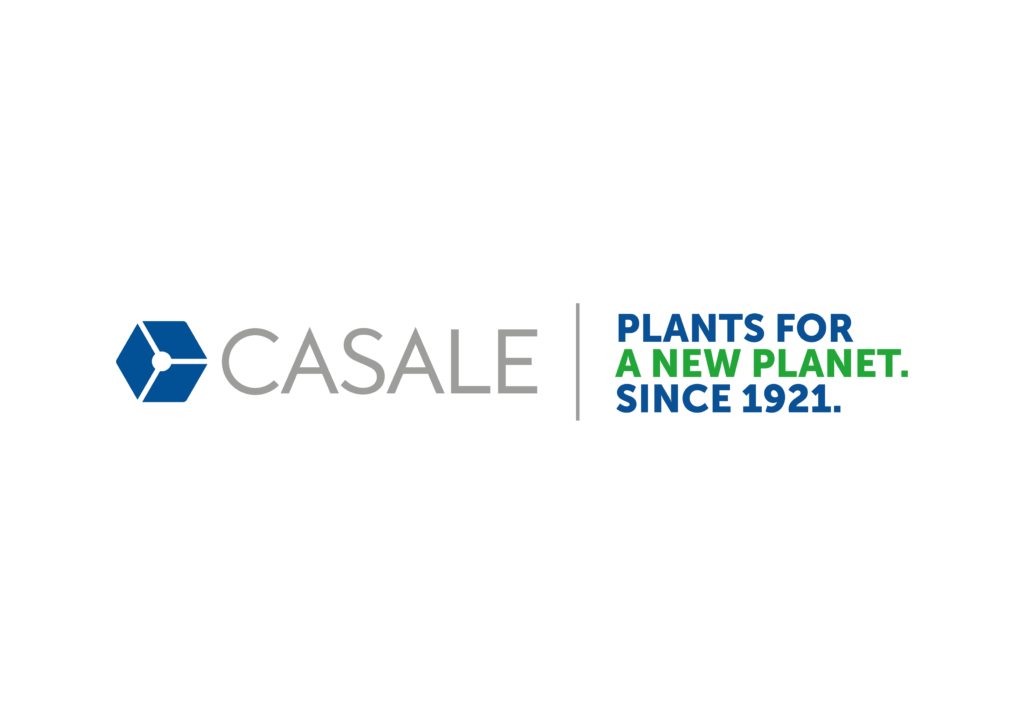Next Hydrogen and Casale Sign MOU to Develop Green Ammonia and Methanol ...